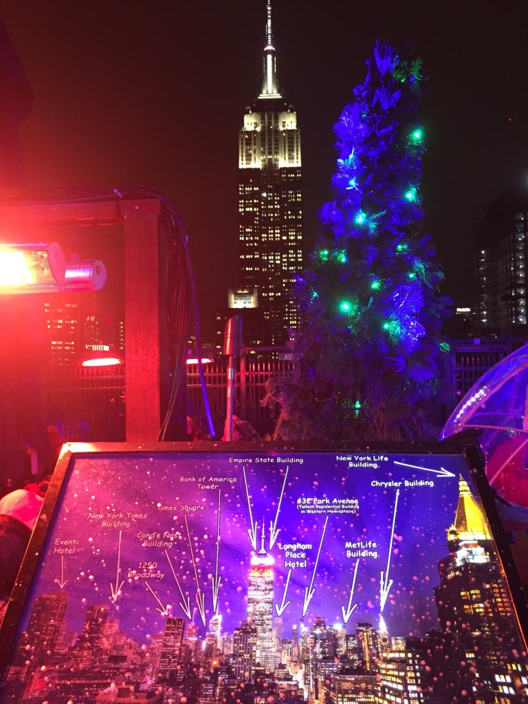 230 Fifth Street Roofdeck – Kristina Gemella's Travels